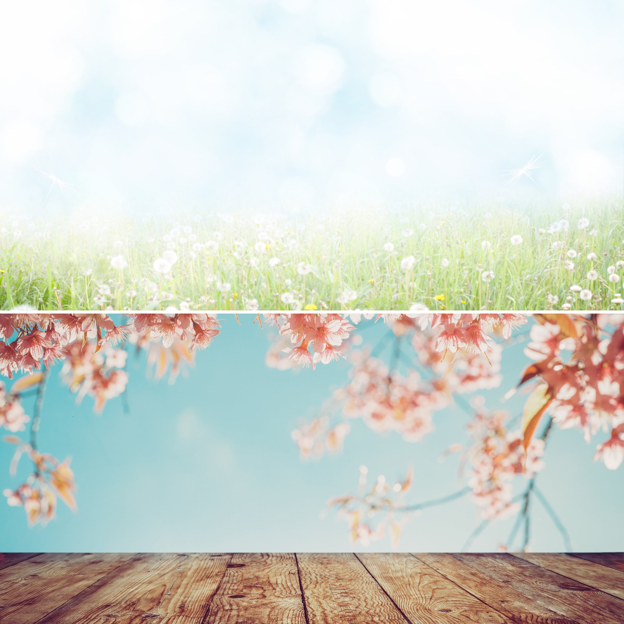 12 SPRING ZOOM BACKGROUNDS Zoom Meeting Virtual | Etsy Canada