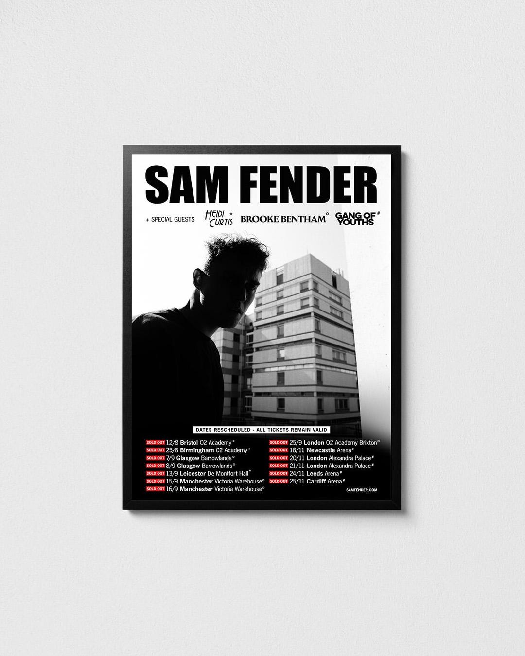 Sam Fender Tour Poster, Indie Rock Music Art, Music Wall Decor - Etsy