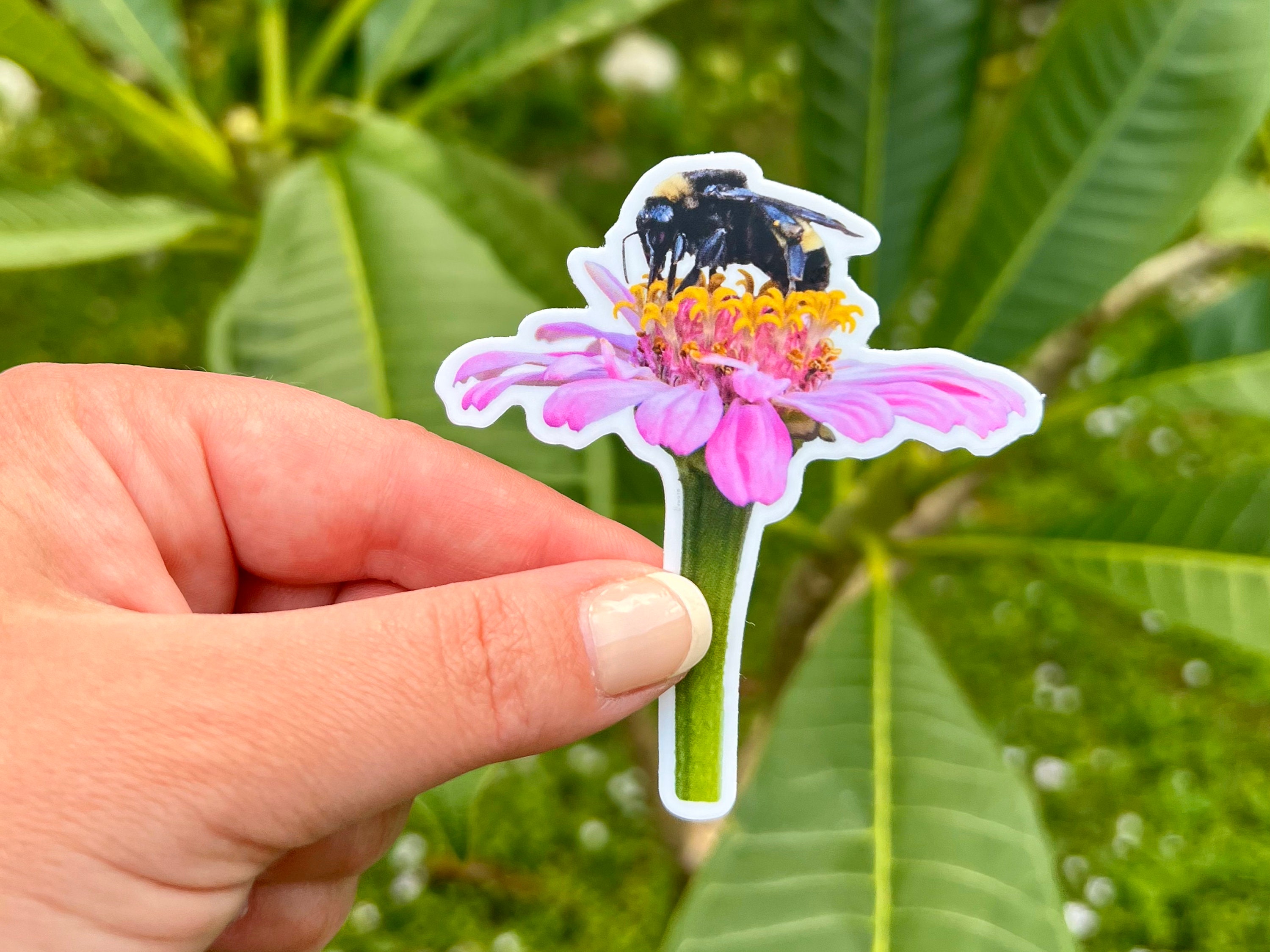 BF Stickers Pollinators Pack of 4 Weatherproof Vinyl Decals - Etsy