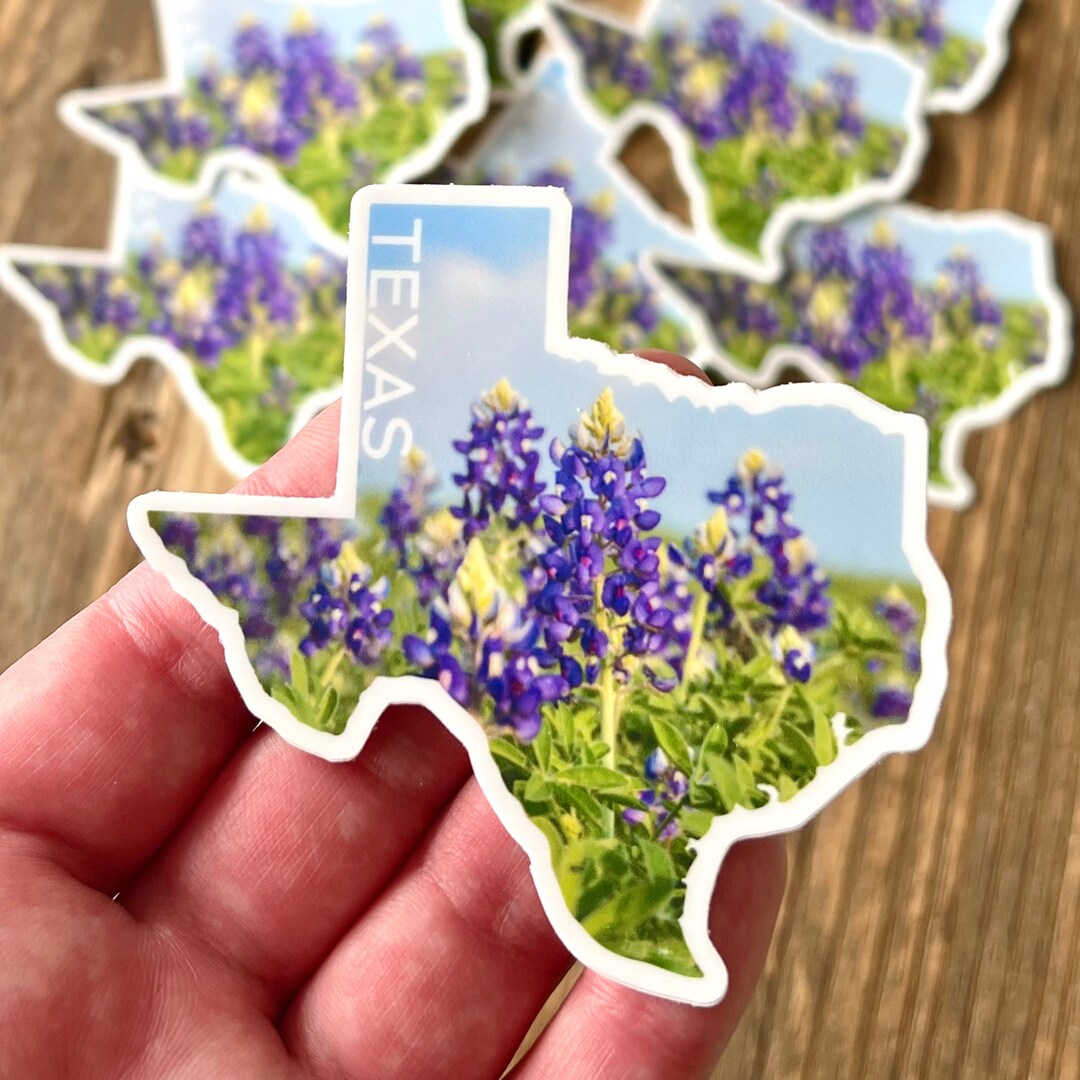 BF Sticker -- Texas Bluebonnet State Weatherproof Vinyl Decal - Etsy
