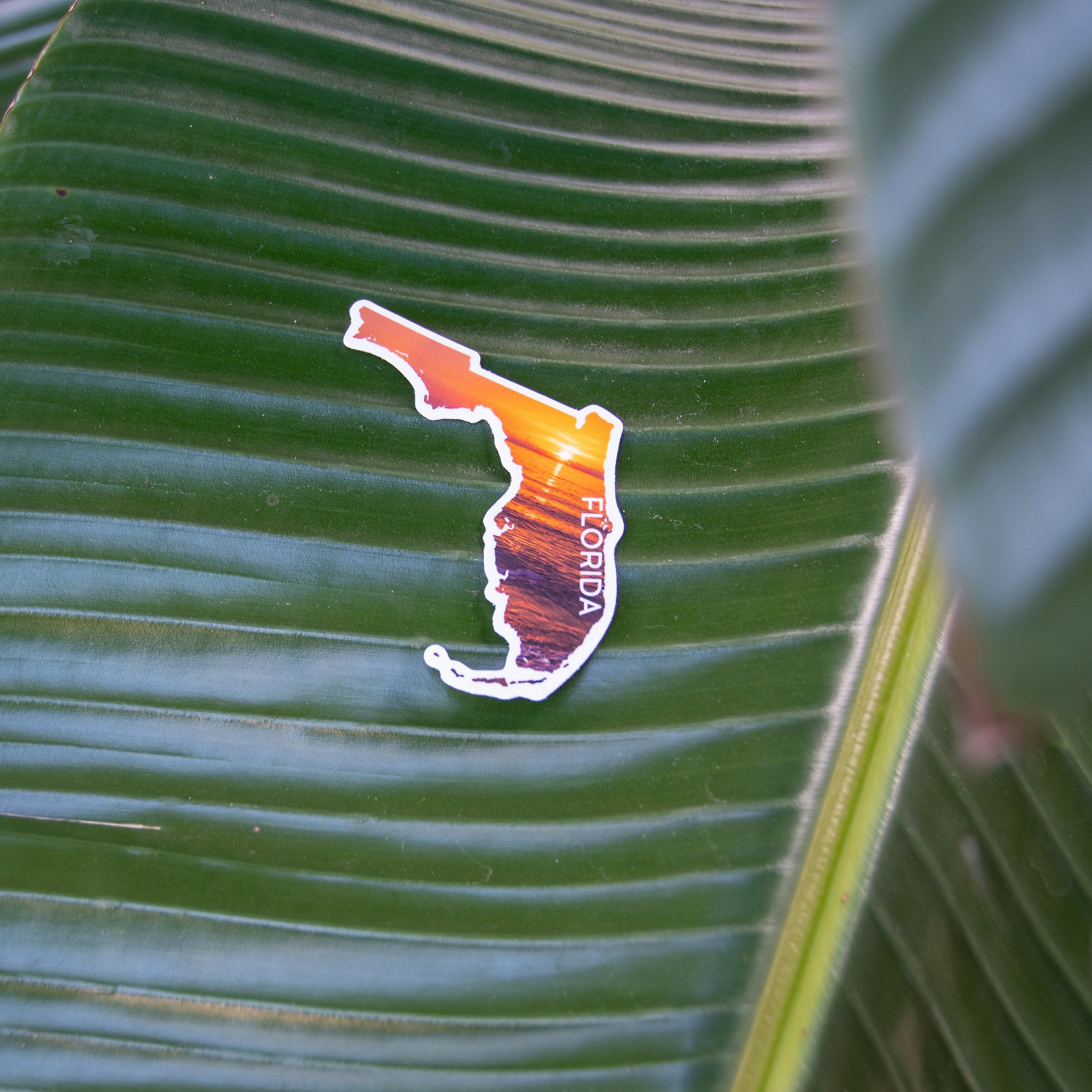 BF Sticker Florida Orange Sunrise State Weatherproof Vinyl Decal - Etsy