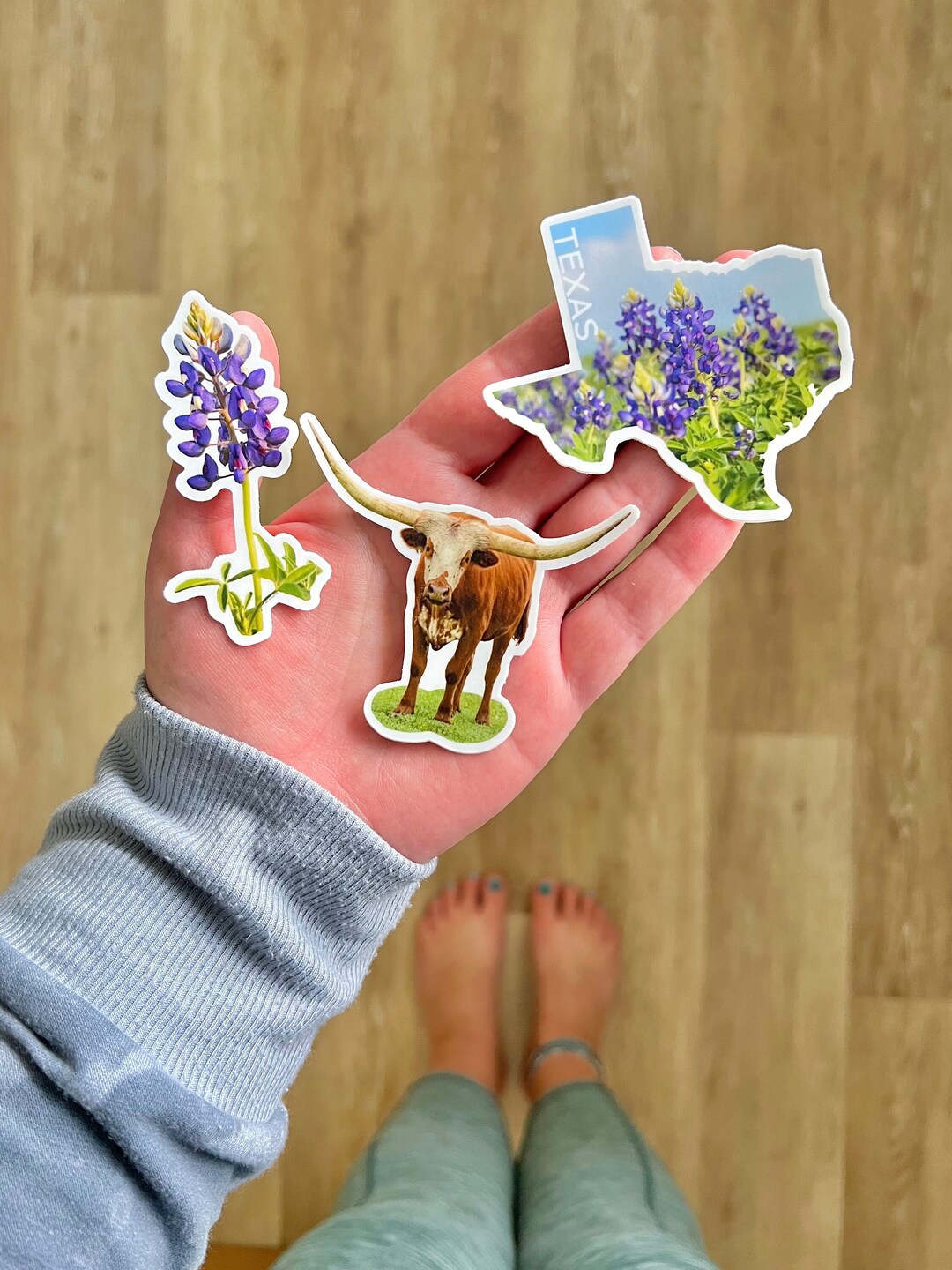 BF Stickers -- Texas Pack of 3 Weatherproof Vinyl Decals - Etsy