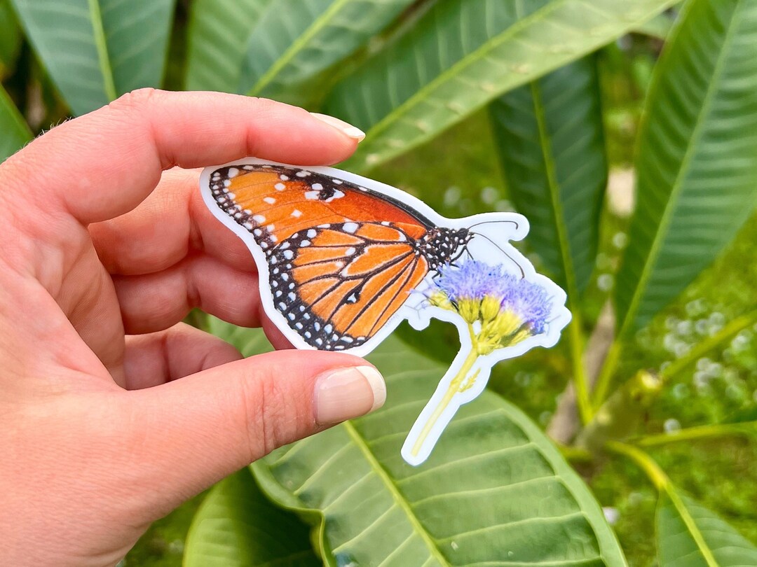BF Sticker Queen Butterfly Weatherproof Vinyl Decal - Etsy