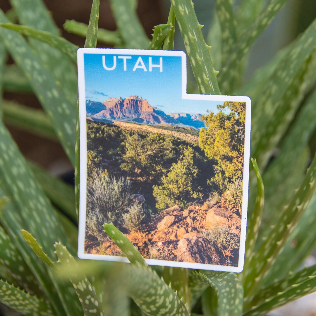 BF Sticker Utah State Weatherproof Vinyl Decal - Etsy