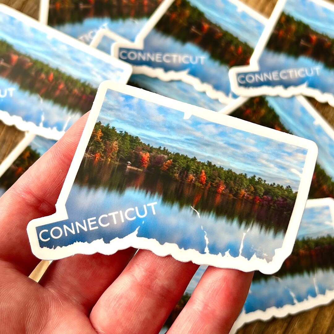 BF Sticker Connecticut State Weatherproof Vinyl Decal - Etsy