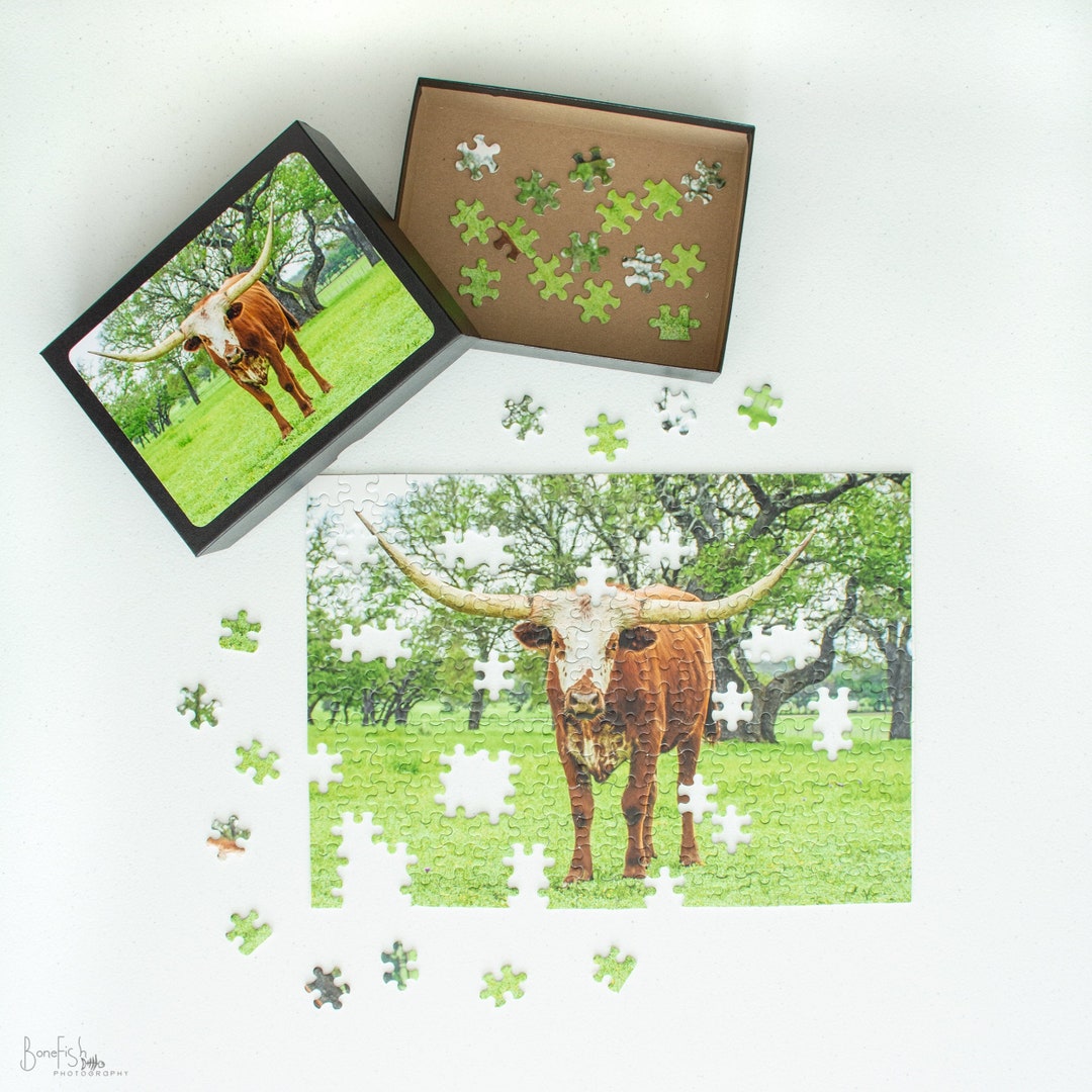 BF Puzzle Game -- Texas Longhorn Cattle Scene - Etsy