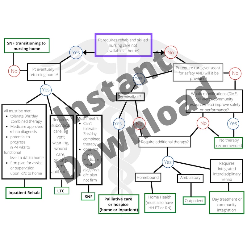 Skilled Nursing Cheat Sheet - Etsy