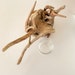 Tree Root Candle Holder - Wood and Glass Votive - Natural Sculpture - Etsy