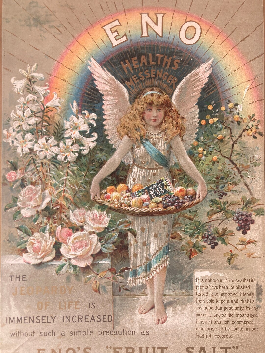 Rare Victorian Advert eno's Fruit Salt Poster - Etsy