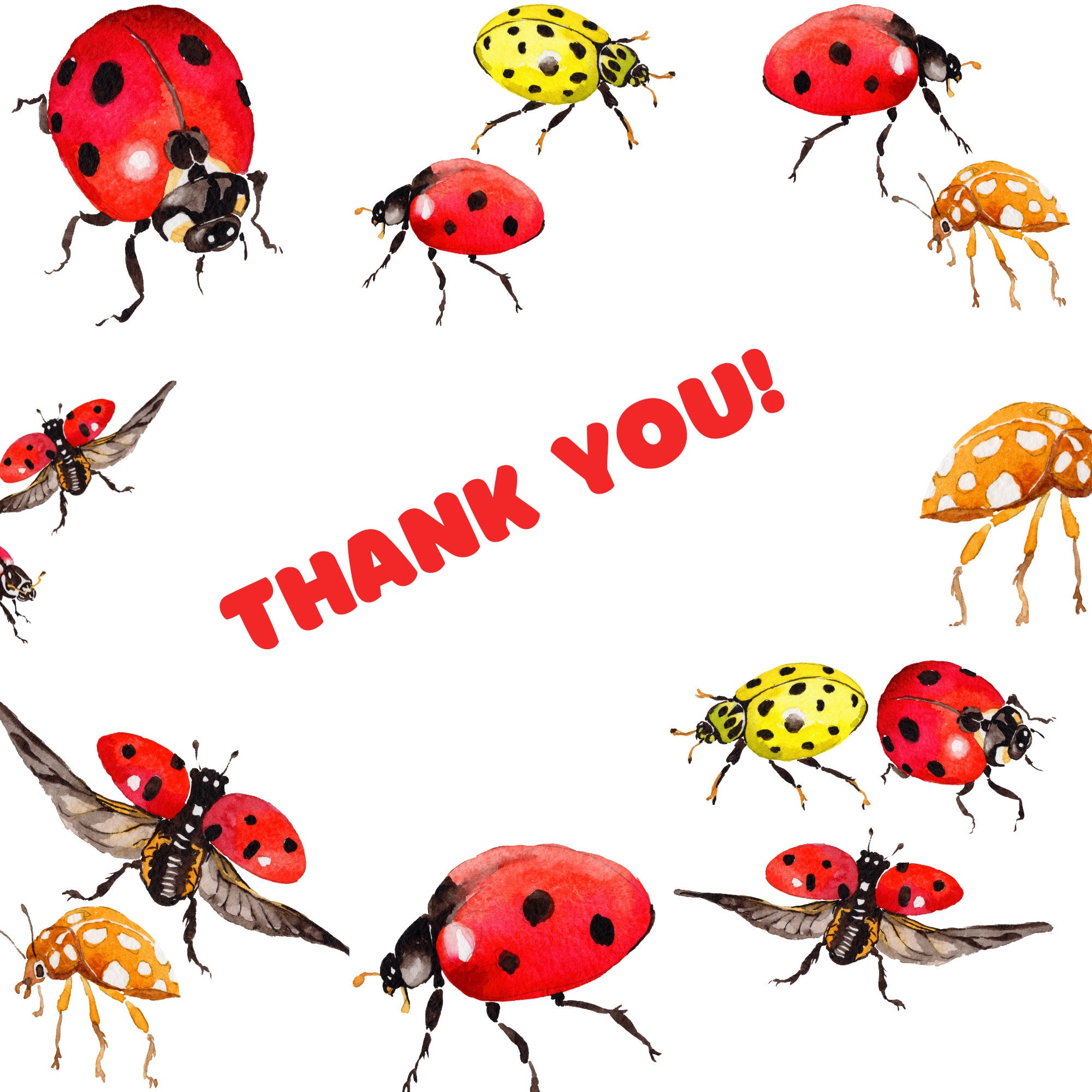 Ladybug Watercolor Stationery | PNG & PDF | Lined and Unlined ...