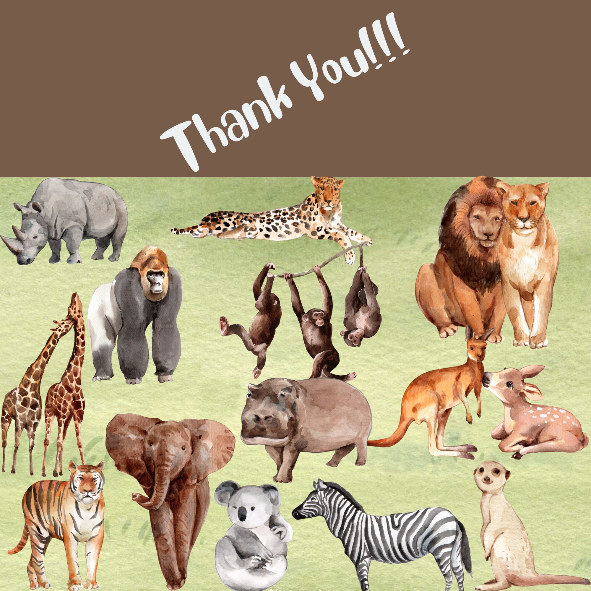 Watercolor Zoo Animal Printable Stationery, Zoo Animals Printable Paper ...