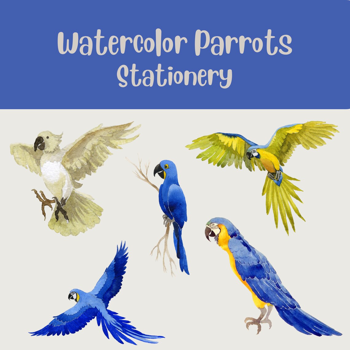 Watercolor Parrot Printable Stationery Paper With 5 Different Designs ...