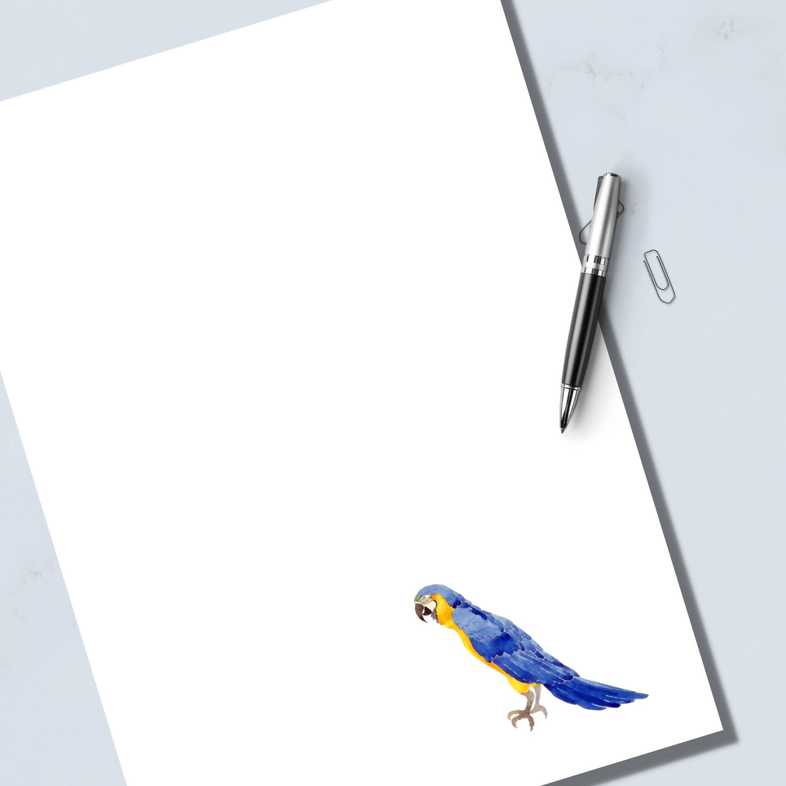 Watercolor Parrot Printable Stationery Paper With 5 Different Designs ...