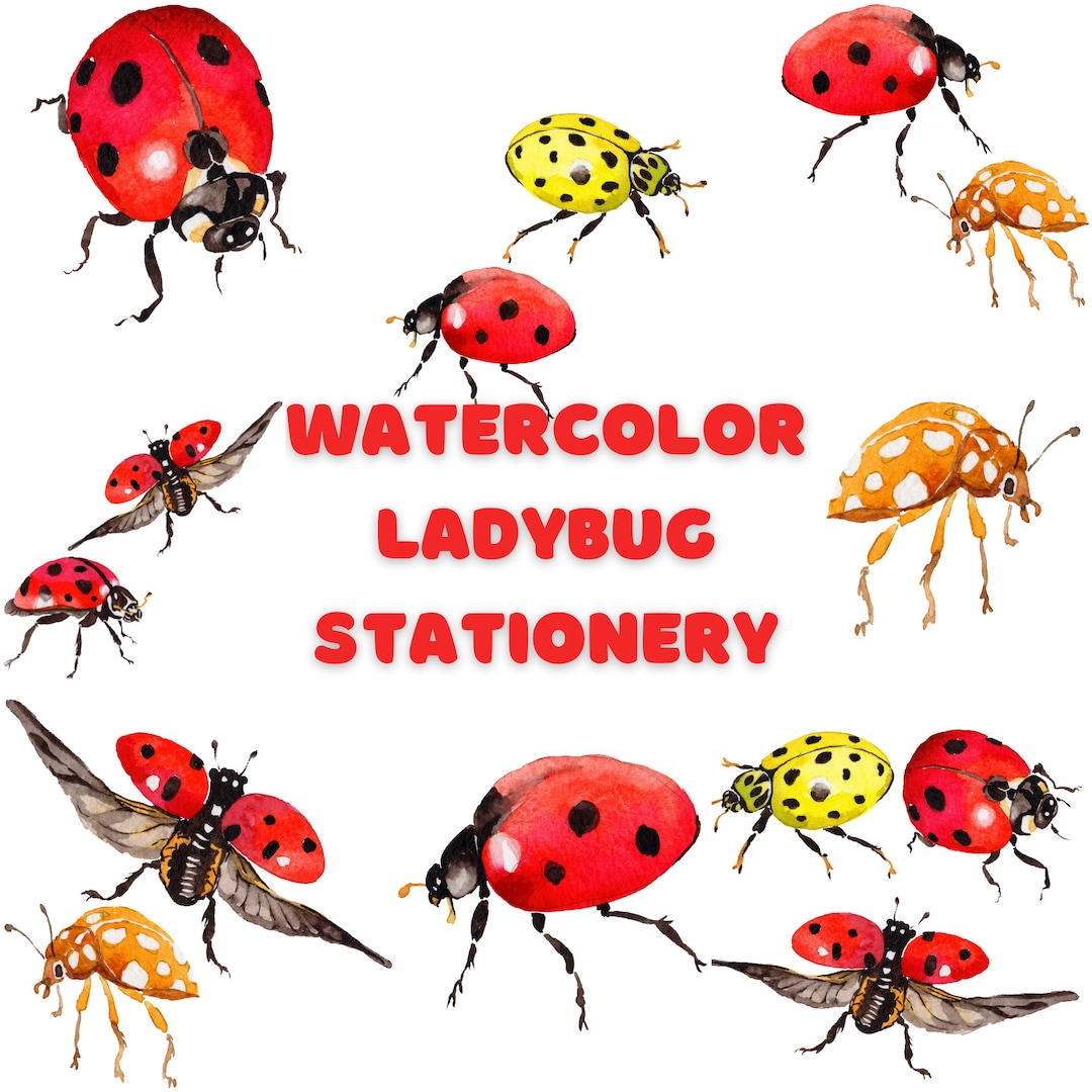 Ladybug Watercolor Stationery | PNG & PDF | Lined and Unlined ...