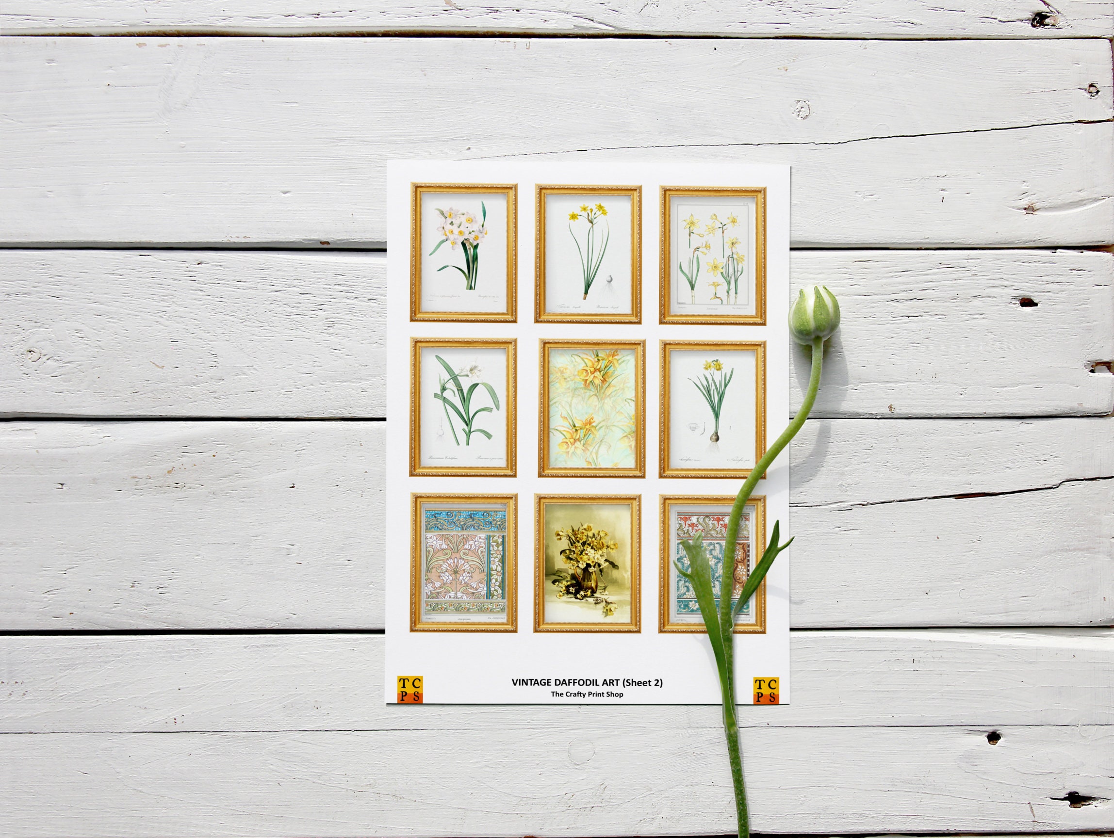 Vintage Daffodils in Gold Frames, Digital Collage Sheets, Floral ...