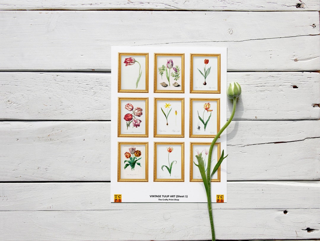 Vintage Tulips in Gold Frames, Digital Collage Sheets, Floral ...