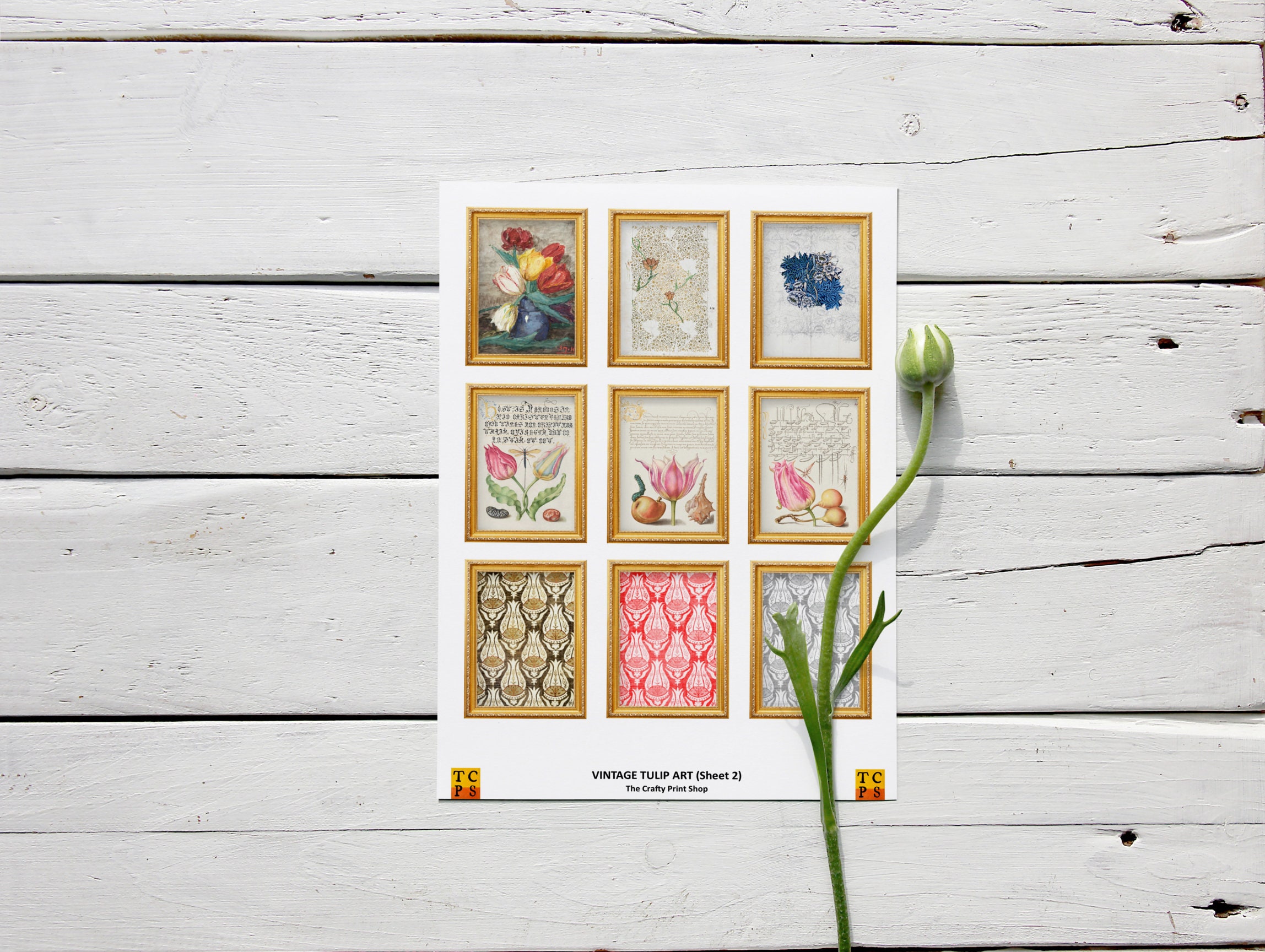 Vintage Tulips in Gold Frames, Digital Collage Sheets, Floral ...