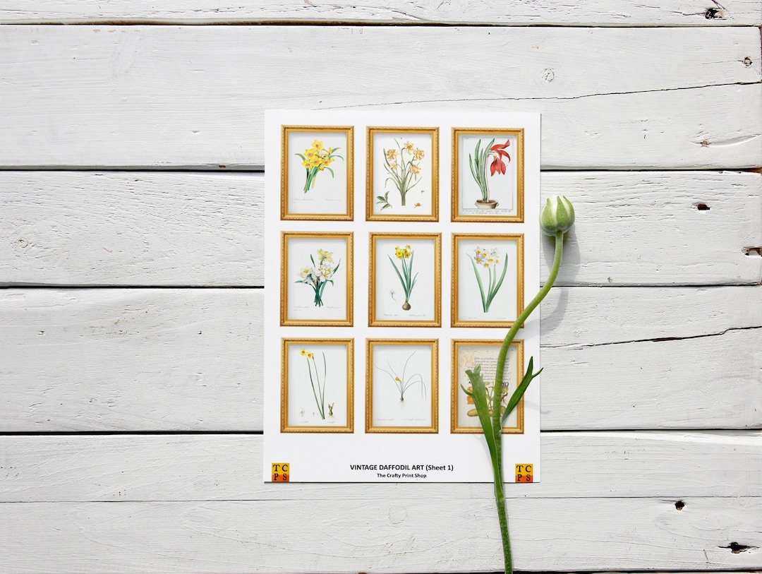 Vintage Daffodils in Gold Frames, Digital Collage Sheets, Floral ...