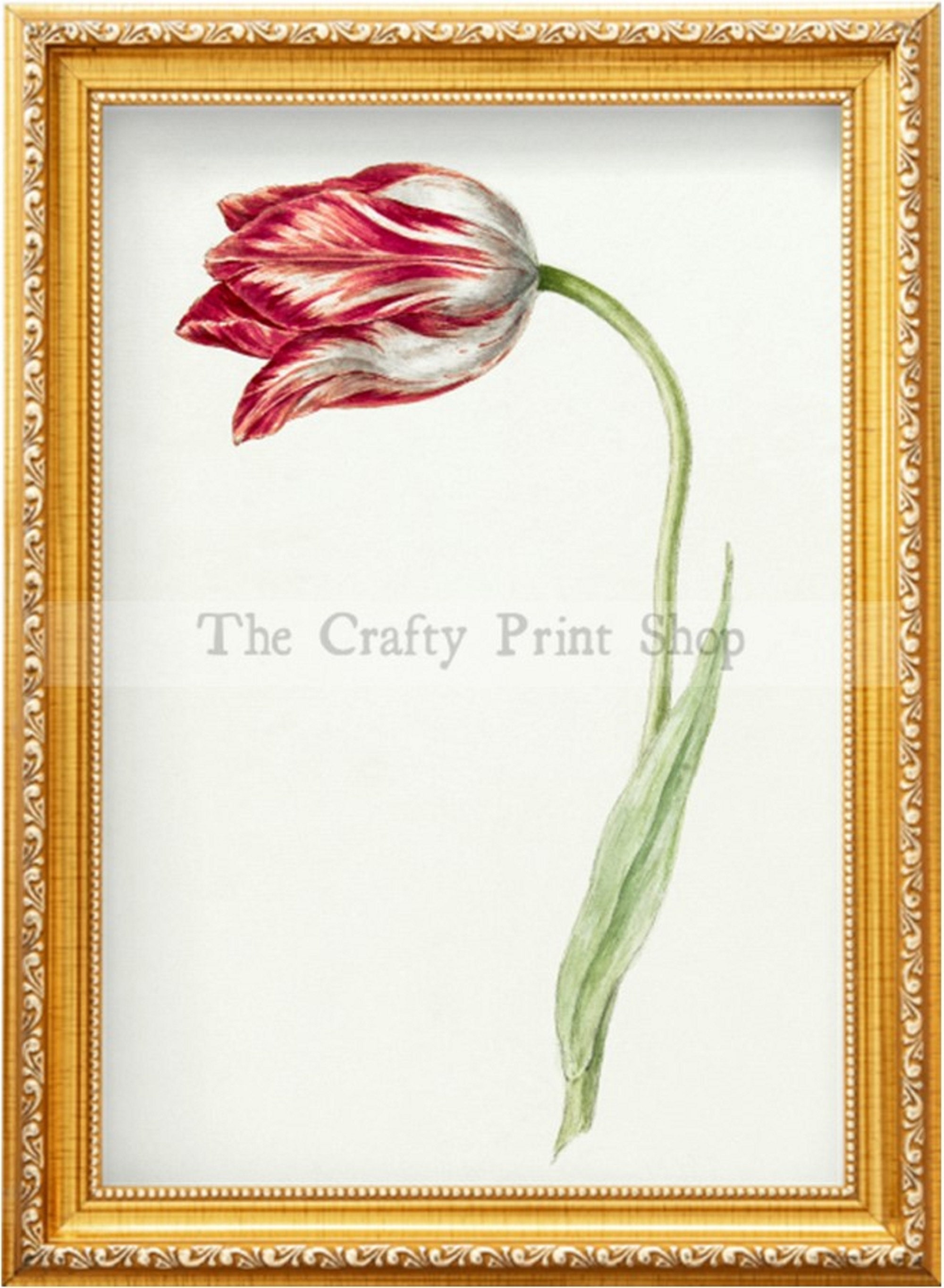 Vintage Tulips in Gold Frames, Digital Collage Sheets, Floral ...