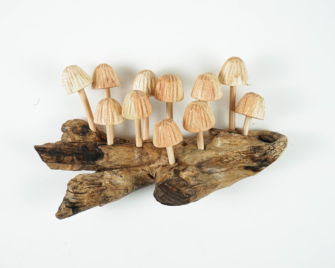 Mushroom Wall Art 8.2" Width, Hanging Mushroom, Wood Carving, Wooden ...