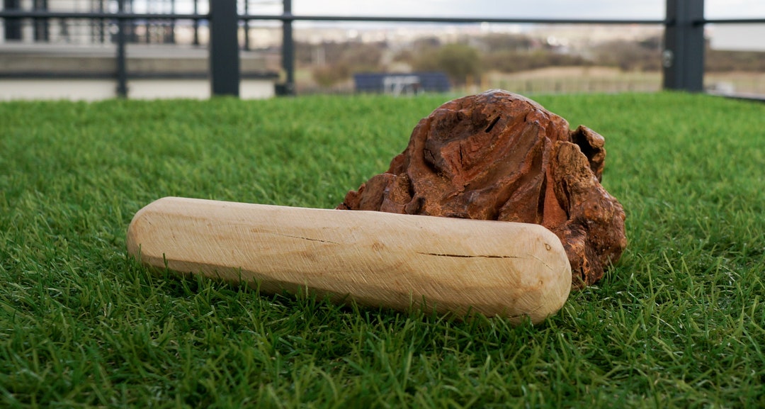 WOOD SET , Olive Wood Stick, Briar Root, Chews for Dogs 100% OBIEDENCE ...