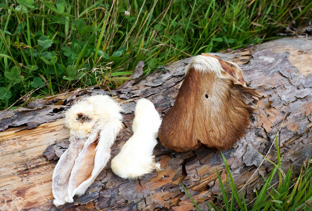 SUEPR FURRY SET Rabbit Ears With Fur 500g, Rabbit Feets 500g, Beef Ears ...