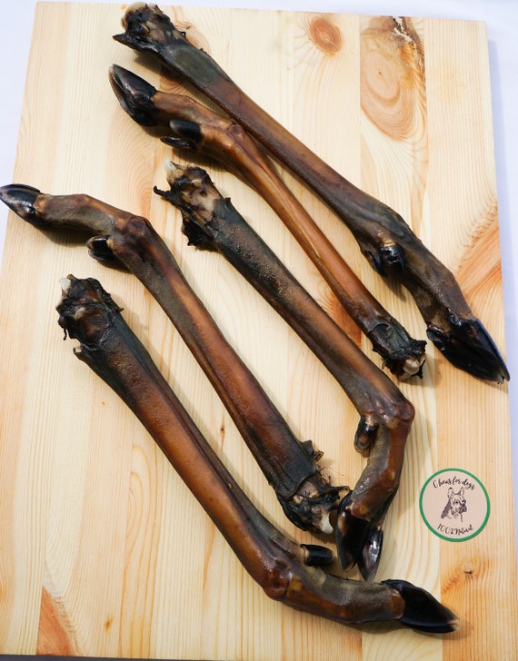 SET DEER LEGS 5x Brown Deer Legs 5x White Deer Legs Chews | Etsy