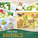 ANIMALS Printable Toddler Learning Toy Homeschool Busy Book Montessori ...