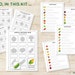 VEGETABLES and FRUITS Matching Game Preschool Worksheets Printable ...