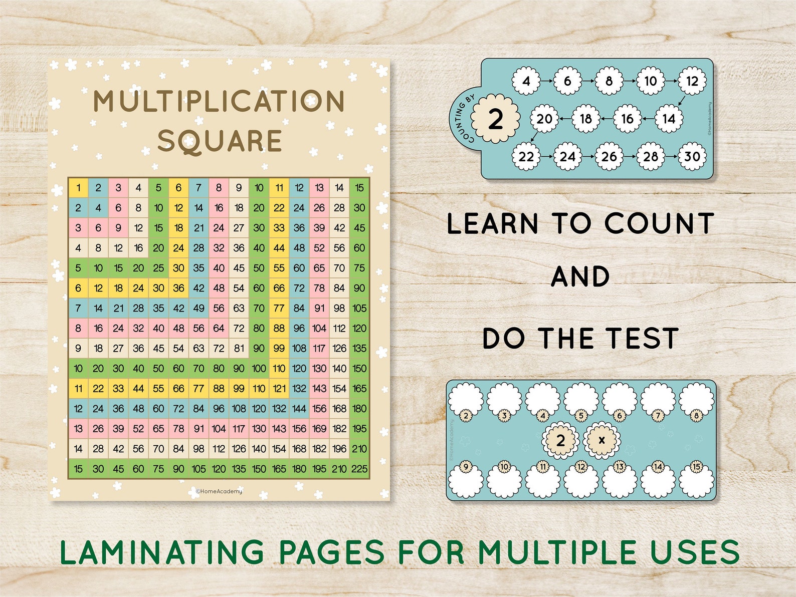 Skip Counting and Testing Cards Printable Multiplication Learning Aid ...