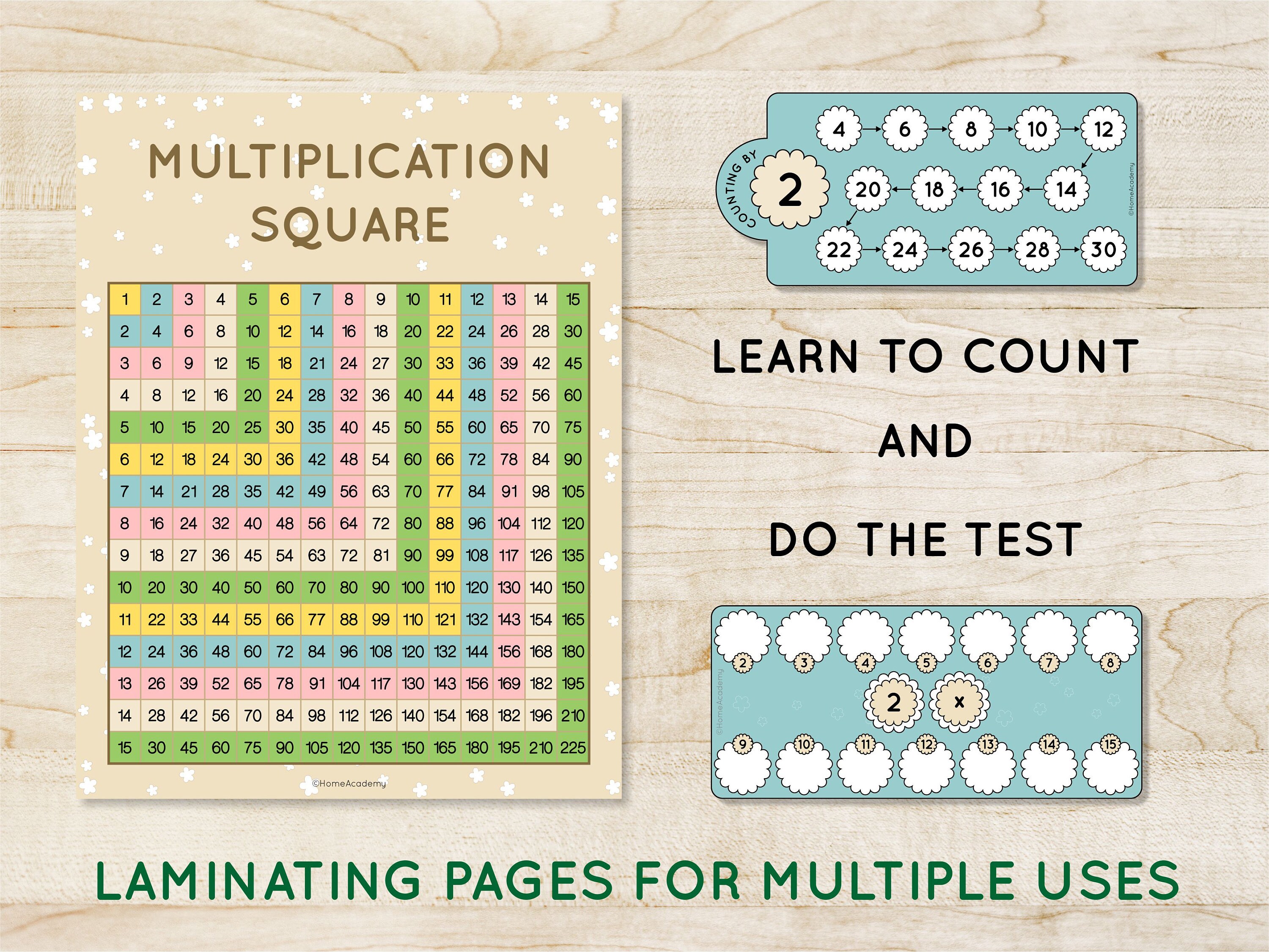 Skip Counting and Testing Cards Printable Multiplication Learning Aid ...