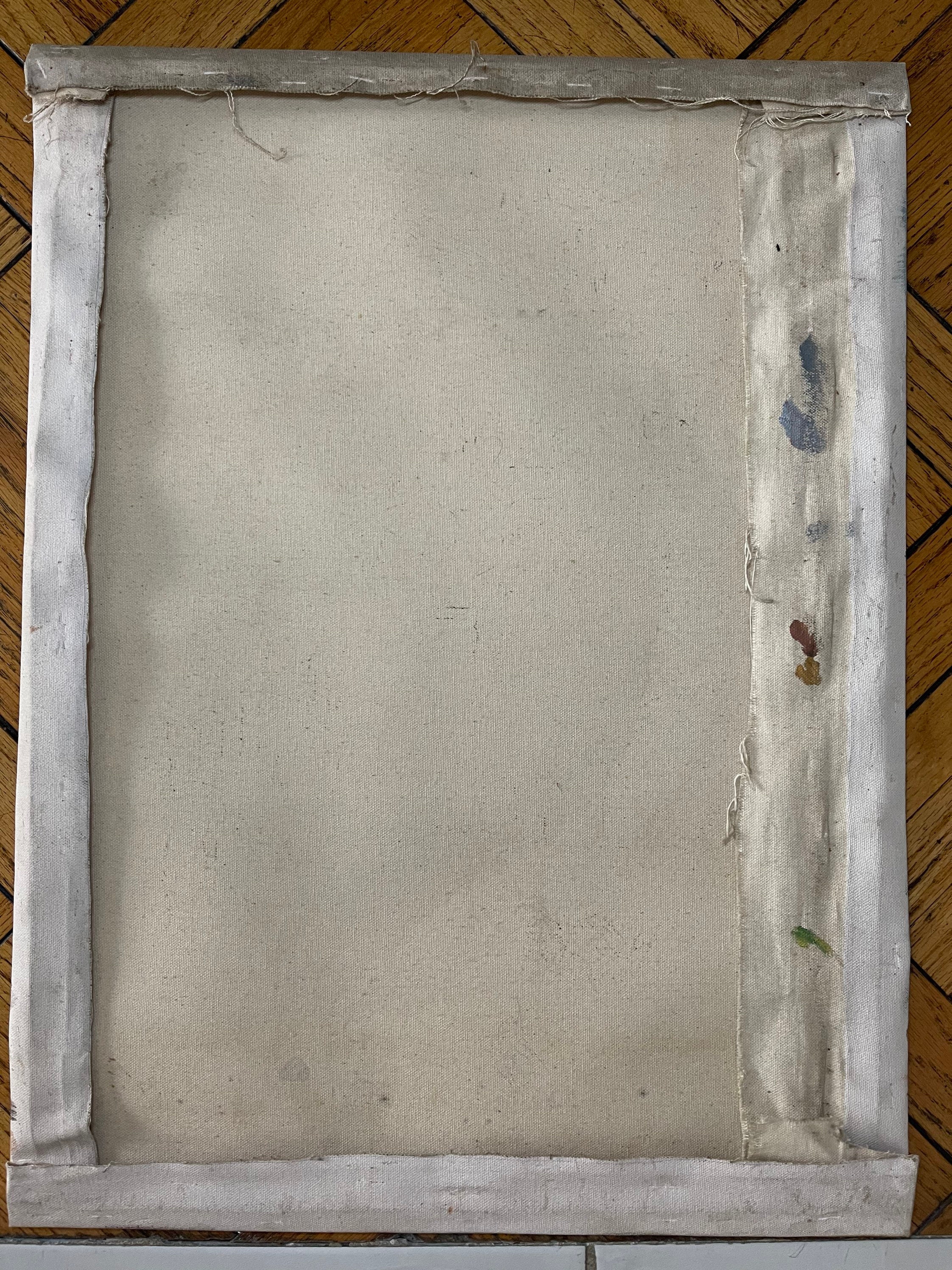 Stunning Hand-painted Acrylic Painting of Mount Dhaulagiri & Village ...