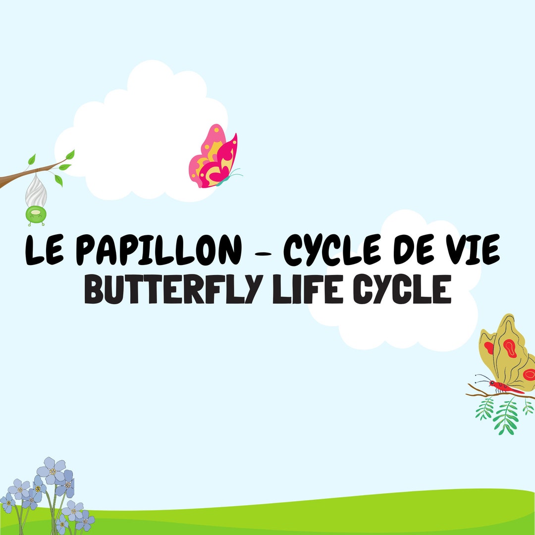 Life Cycles - Bilingual Life Cycle Activities for Kids - Etsy