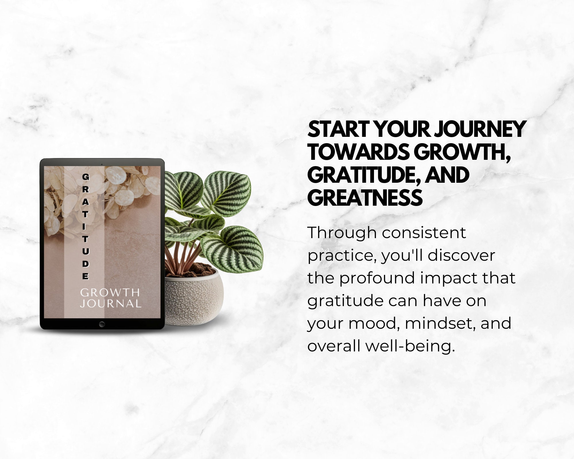 Gratitude Journal, Mindful Mindfulness Journal, Self Care, Dream ...