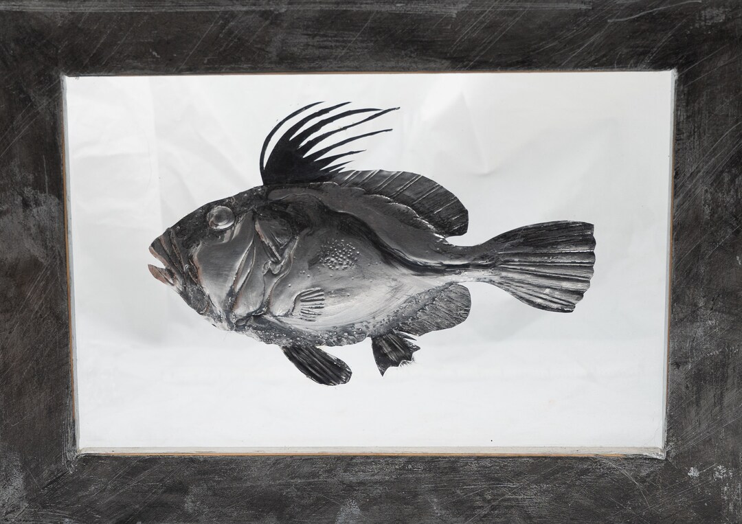 Metal Sculpture of a John Dory Fish on Glass. Framed - Etsy