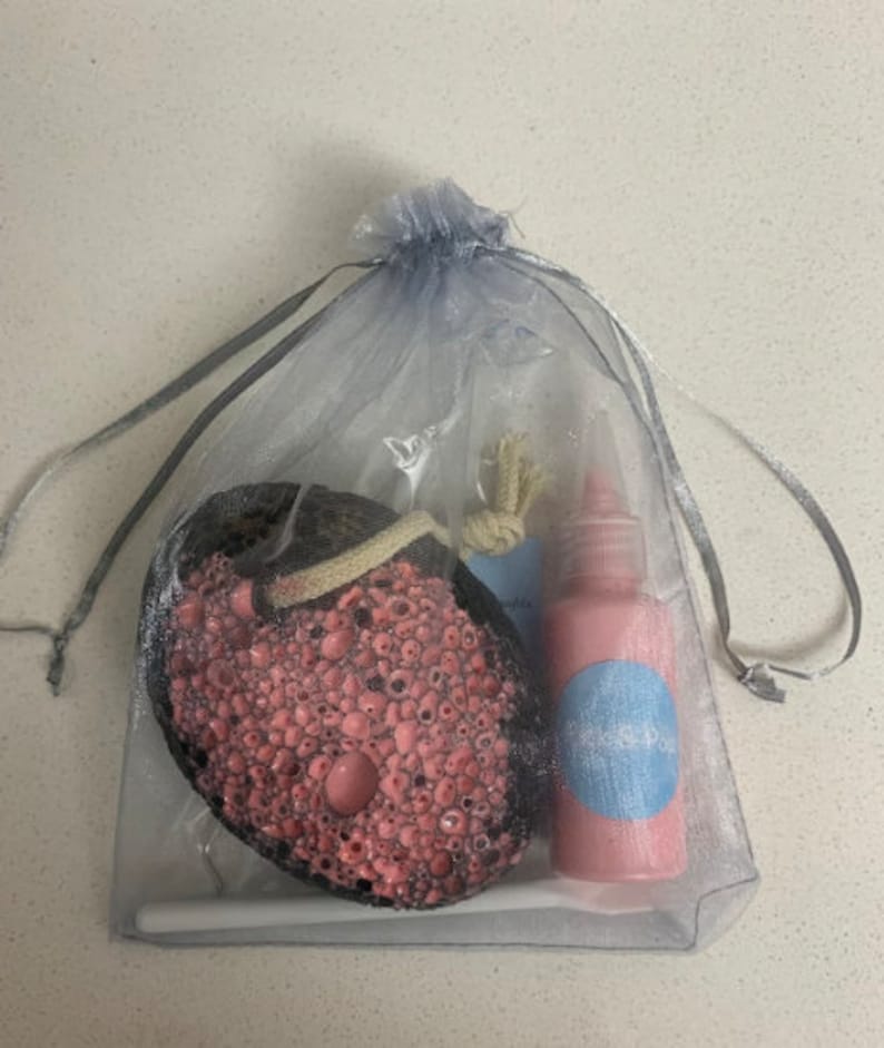 Pick & Pop Pre-filled Ready Picking Stone Picking Stone Bundle Kit Pick ...