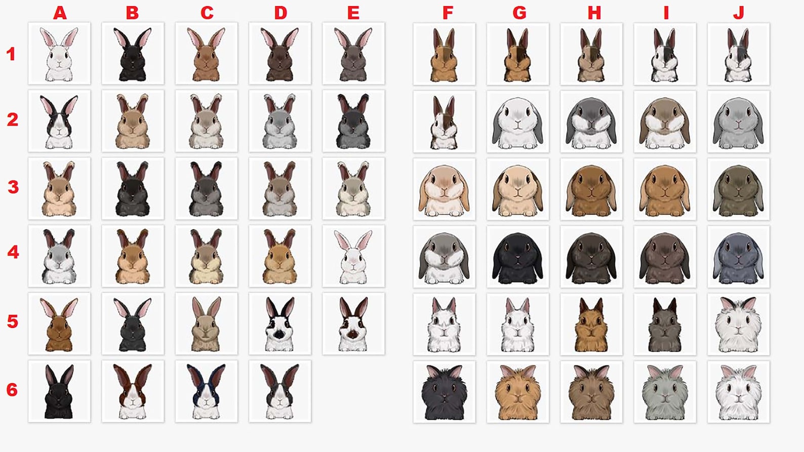 Welcome to the Rabbit House Doormat Bunny Welcome Doormat - Etsy