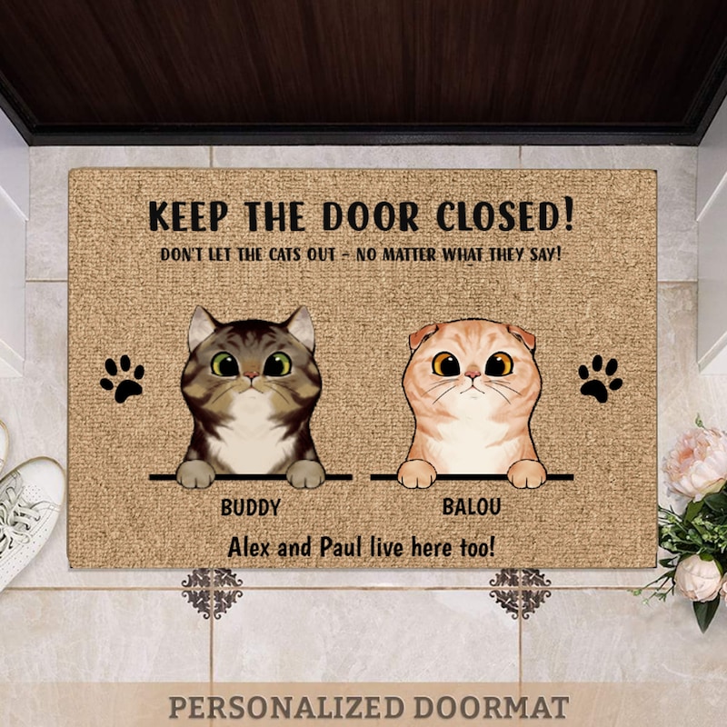 Cat Door Mats Outdoor - Etsy