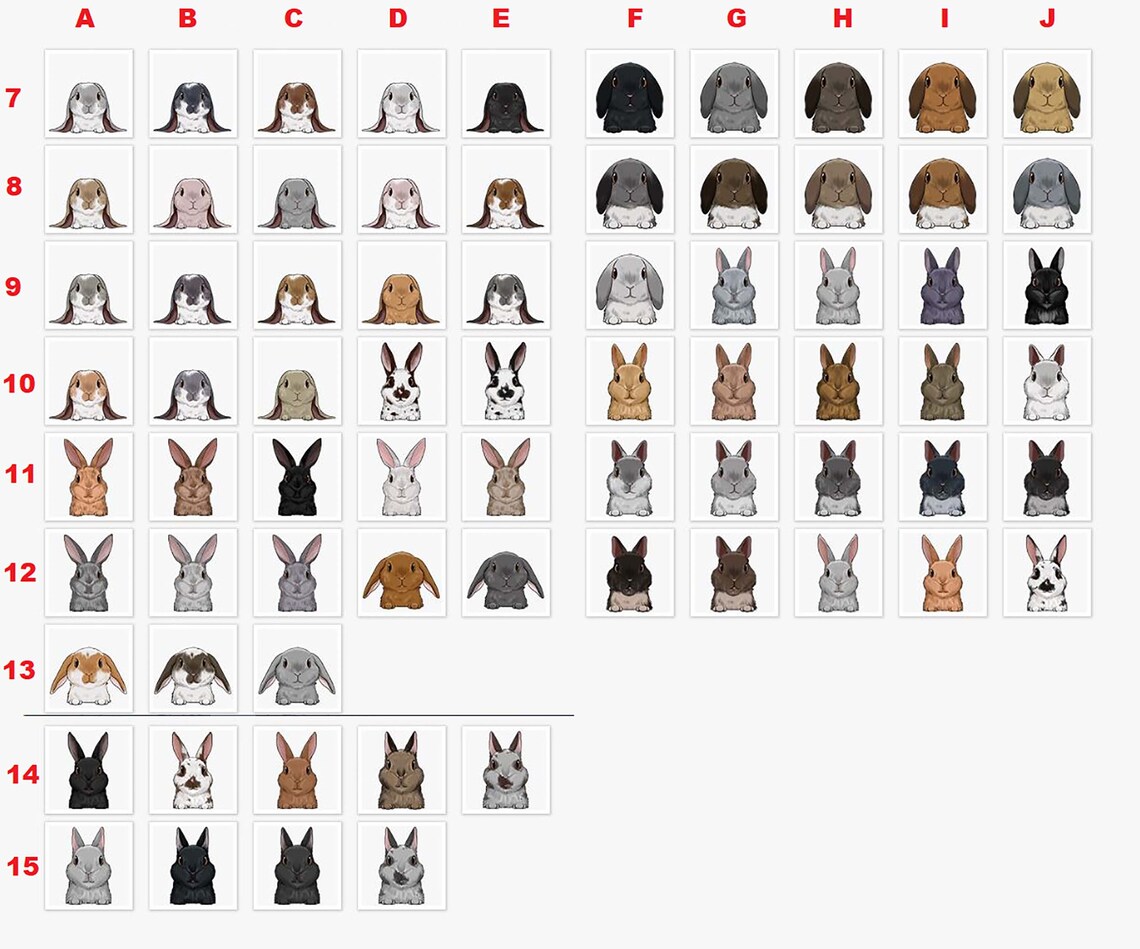 Welcome to the Rabbit House Doormat Bunny Welcome Doormat - Etsy