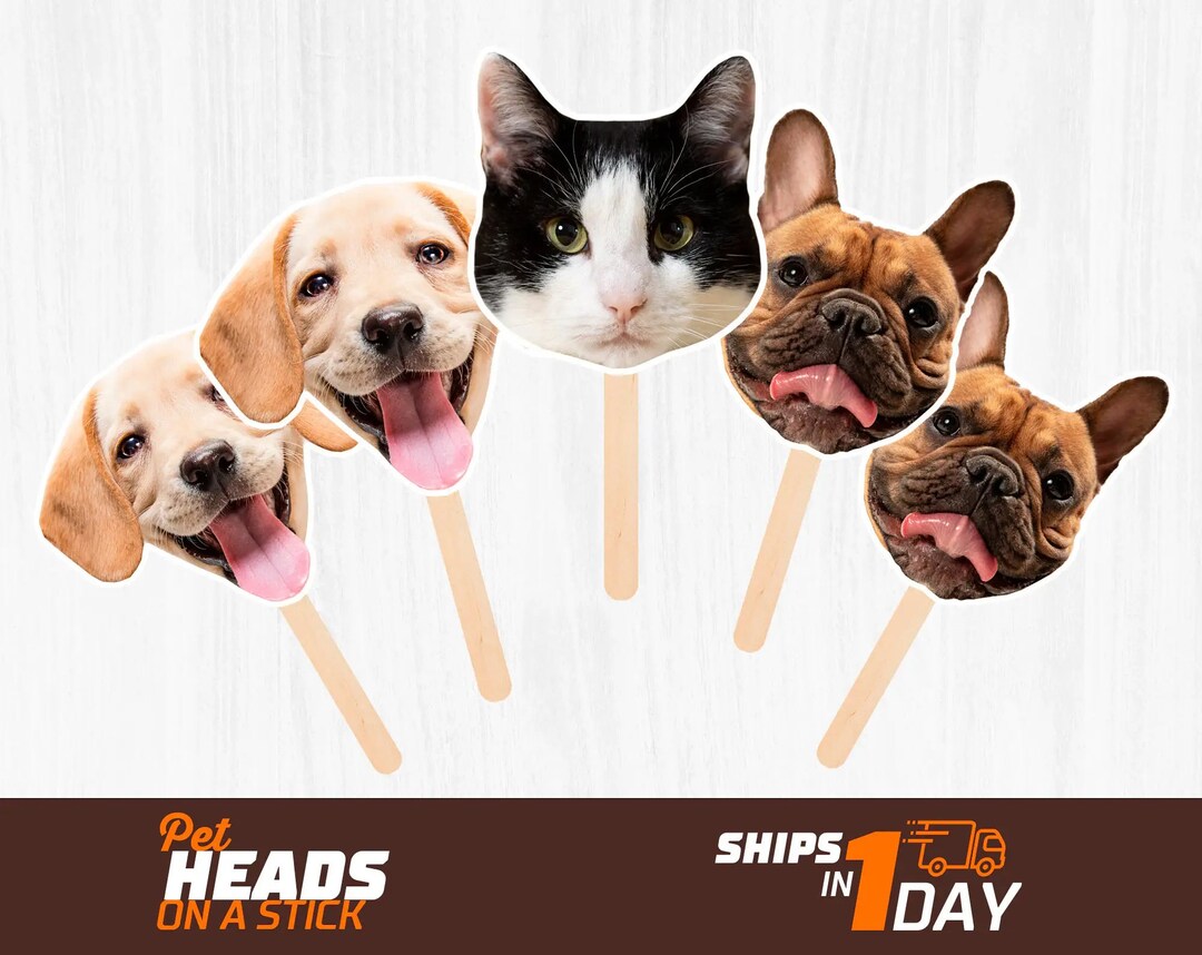 Pet Face Fans, Personalized Face on a Stick for Customized Pet ...