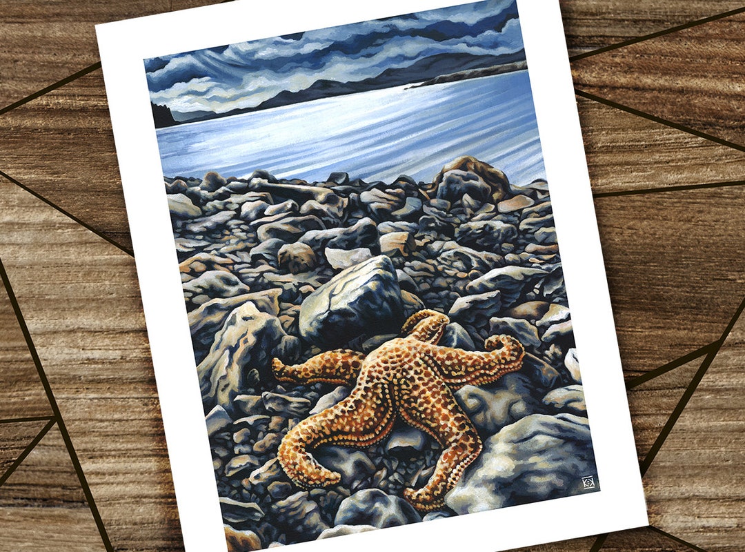 Sea Star Fine Art Print, Alaska Home Decor, Starfish Wall Print, North ...