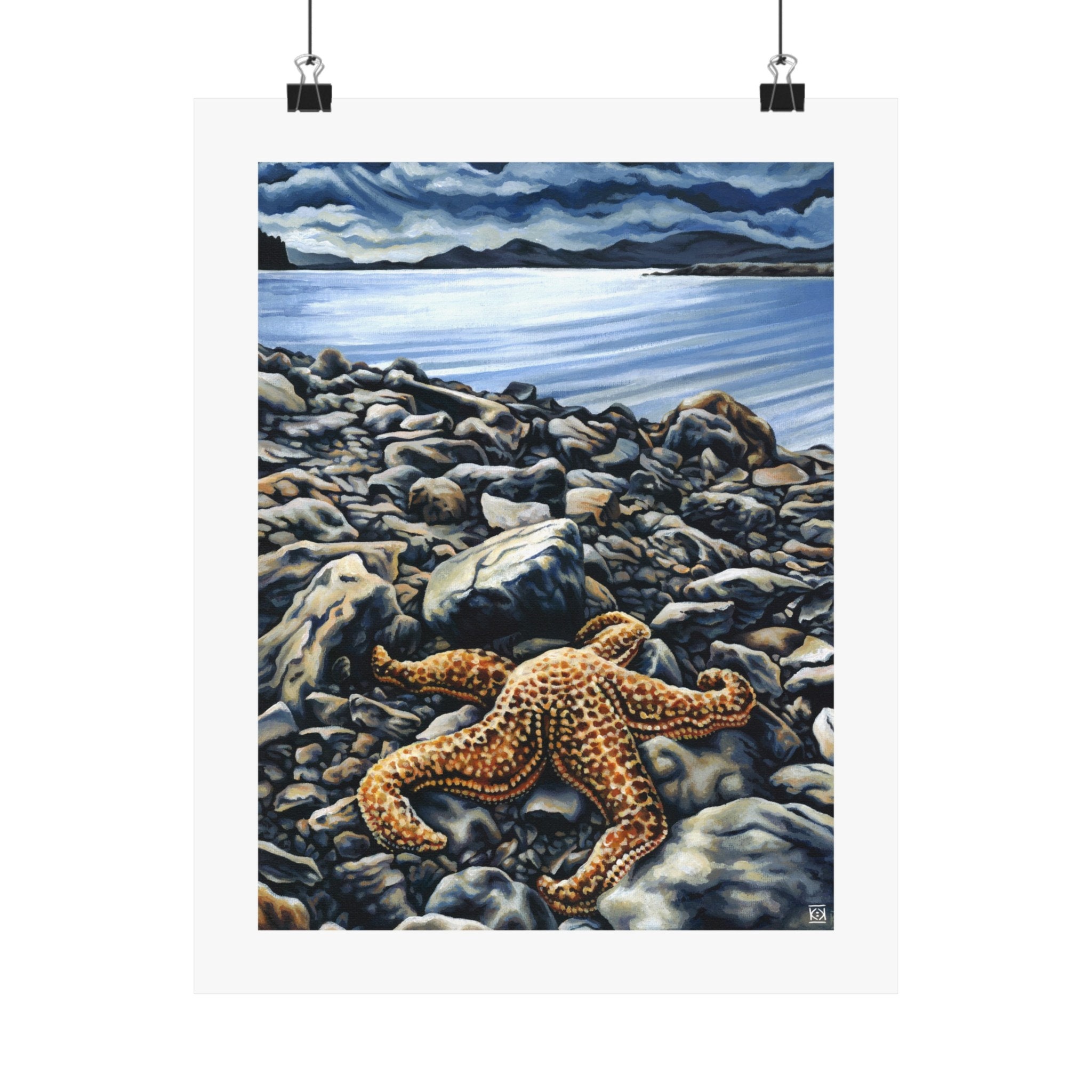 Sea Star Fine Art Print, Alaska Home Decor, Starfish Wall Print, North ...