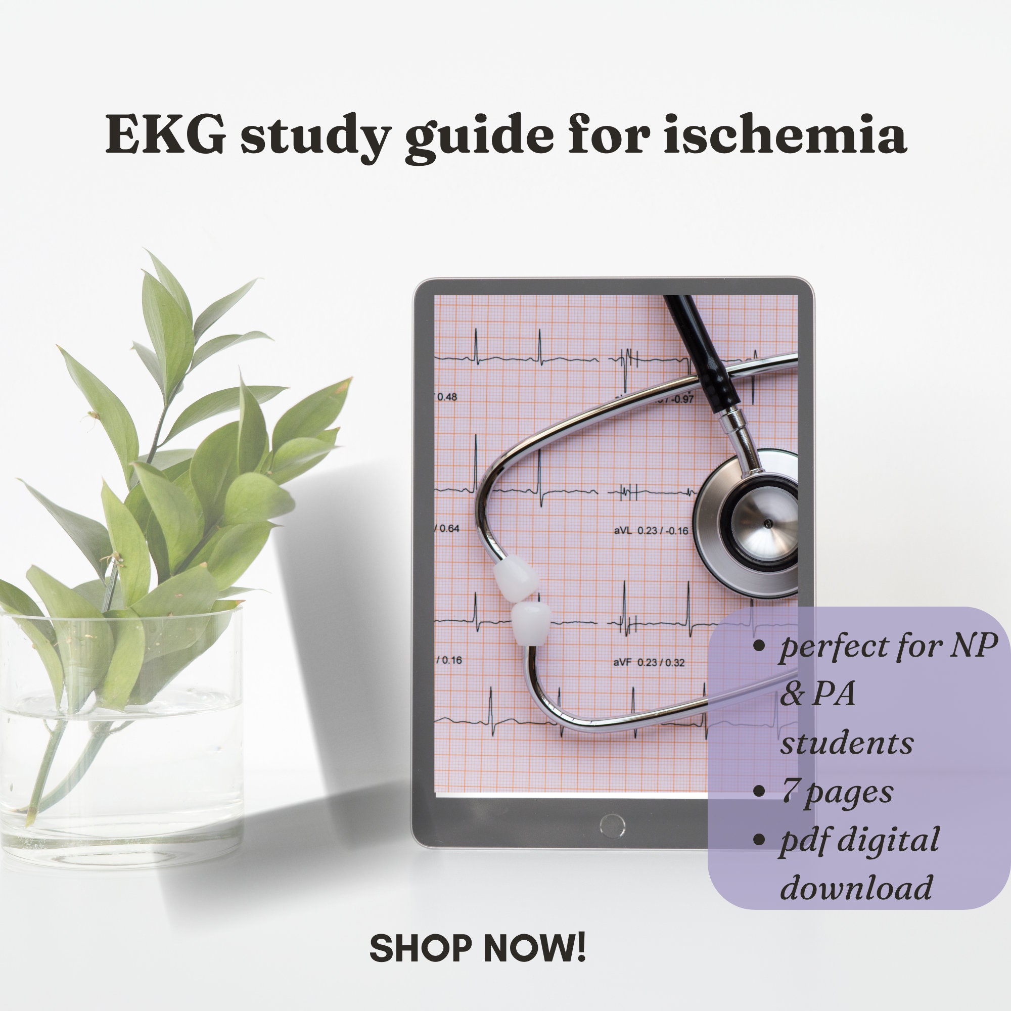 EKG Study Guide for Ischemia Nurse Practitioner Physician Assistant ...
