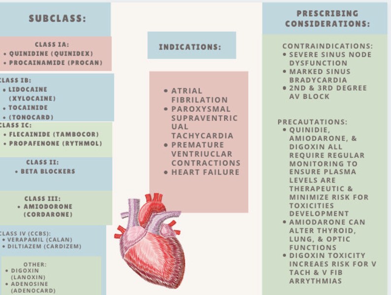 Nurse Practitioner Study Guide: Pharmacology- Antiarrythmic Drugs ...