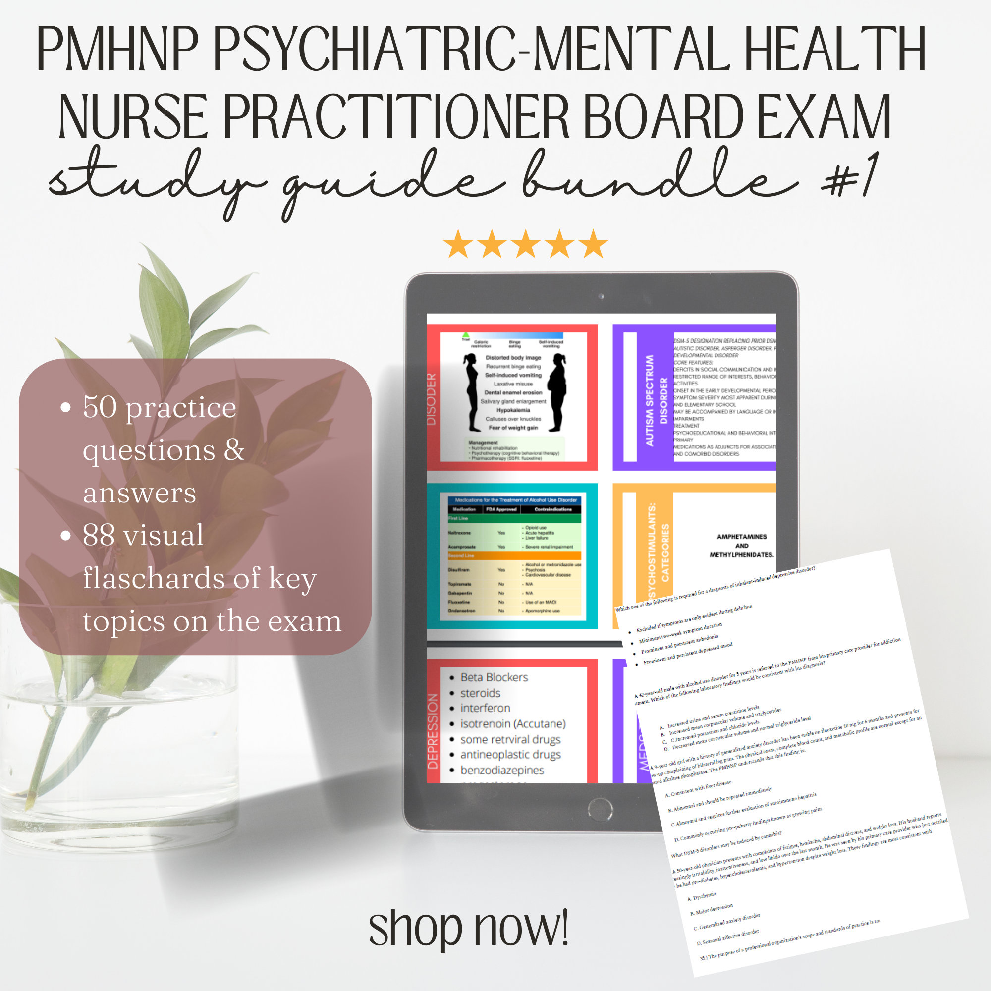PMHNP Psychiatric-mental Health Nurse Practitioner Study Guide Bundle ...