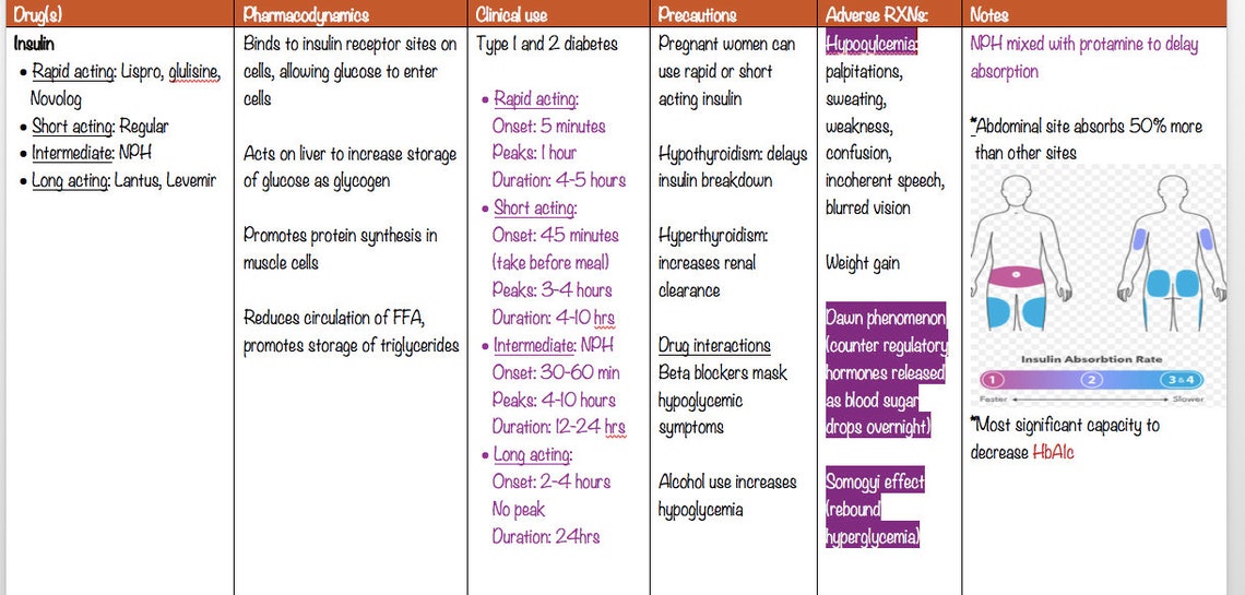Pharmacology Endocrine Drug Chart PDF Download for Nursing Students ...