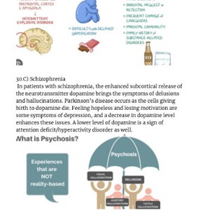 PMHNP Bundle #2: Practice Test & Flashcards for Visual Learners ...
