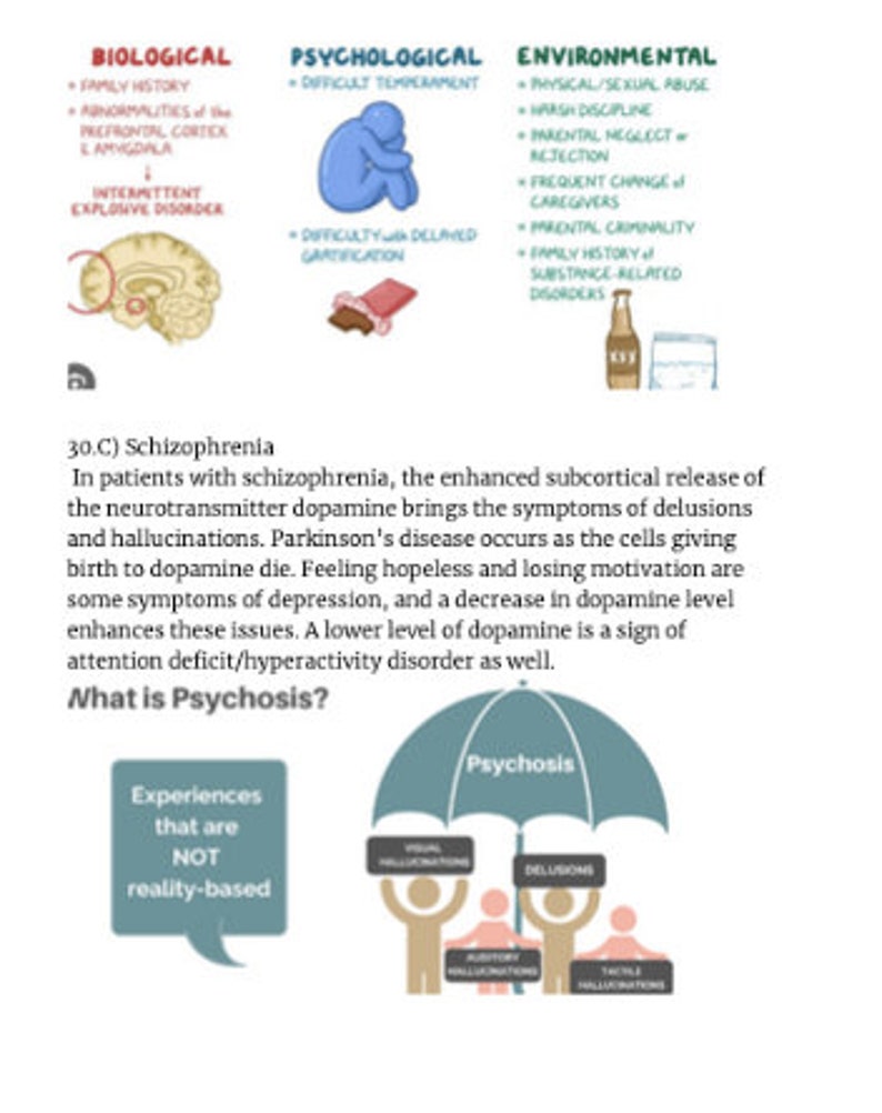 PMHNP Bundle #2: Practice Test & Flashcards for Visual Learners ...