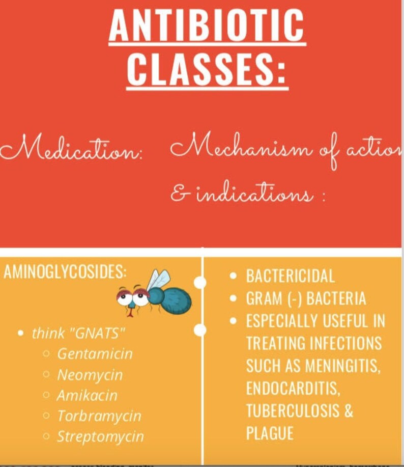 Nurse Pracitioner Study Guide: Antibiotics Instant Digital Download PDF ...