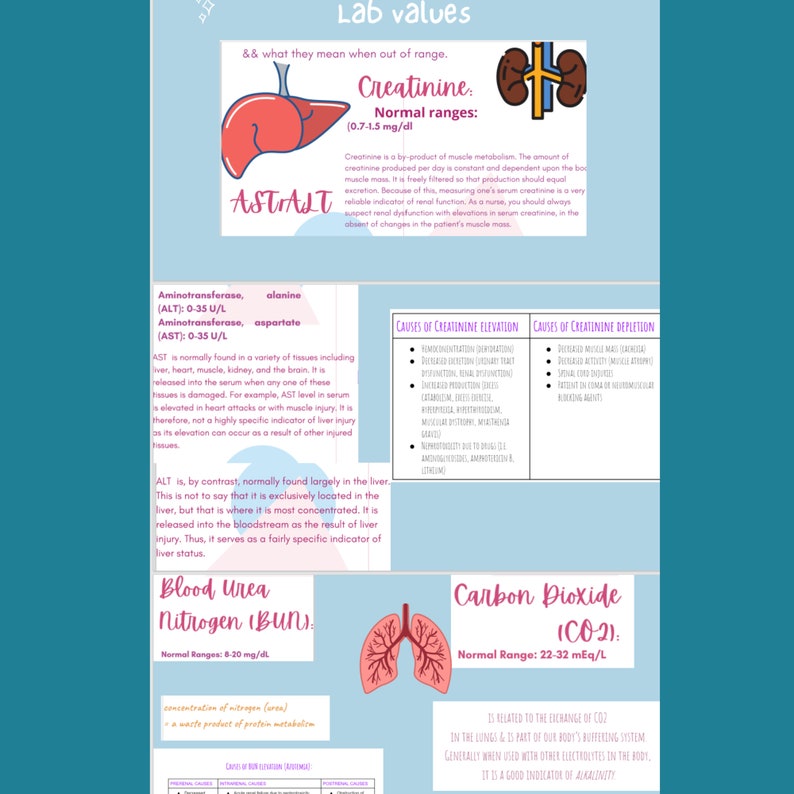 NCLEX Next Gen Visual Practice Exam: Ace the 2023 NCLEX With Visual ...